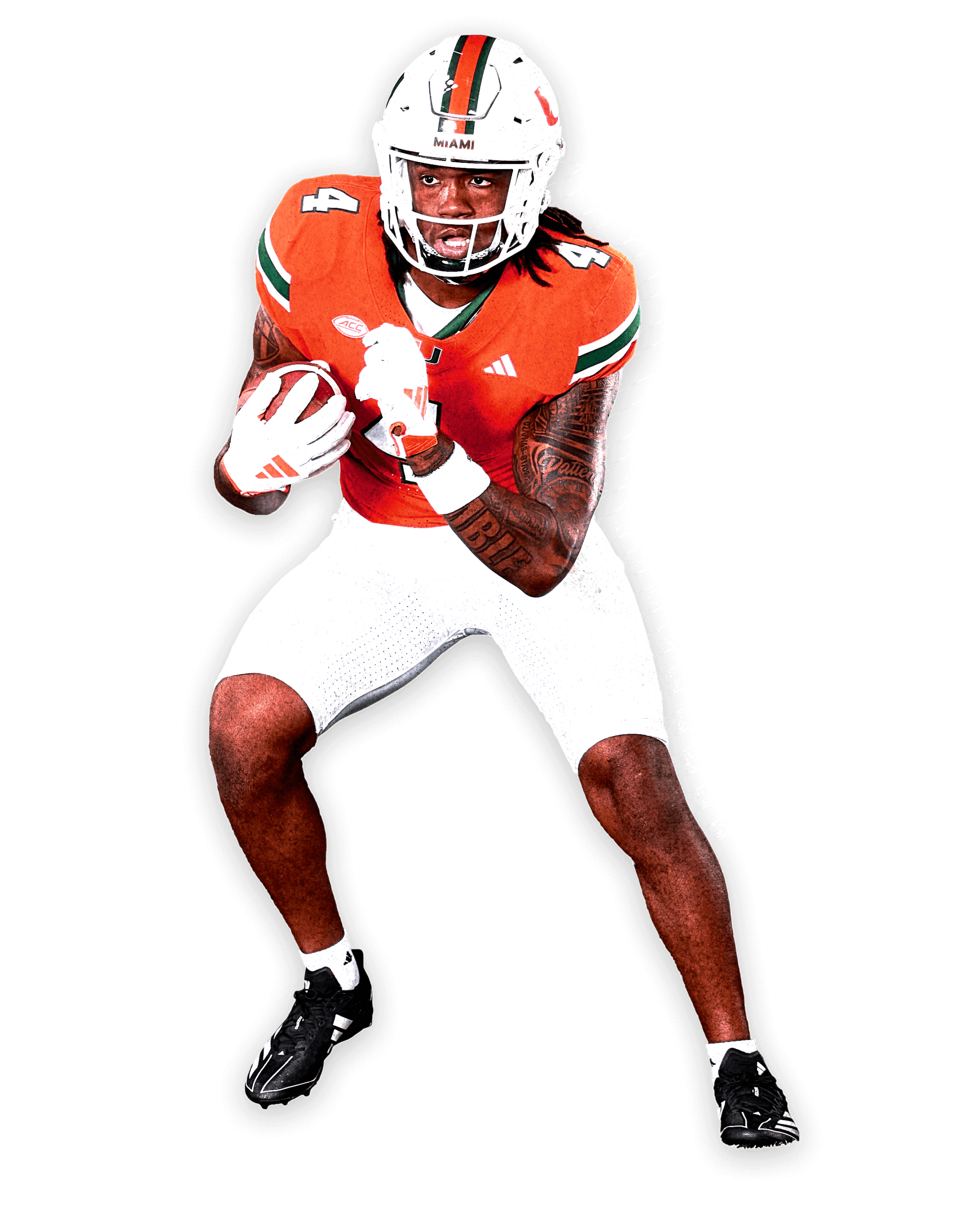 University of Miami - Renewal Portal